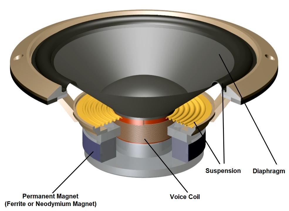 Neodymium Magnet for Speaker Drivers: Benefits & Custom Solutions
